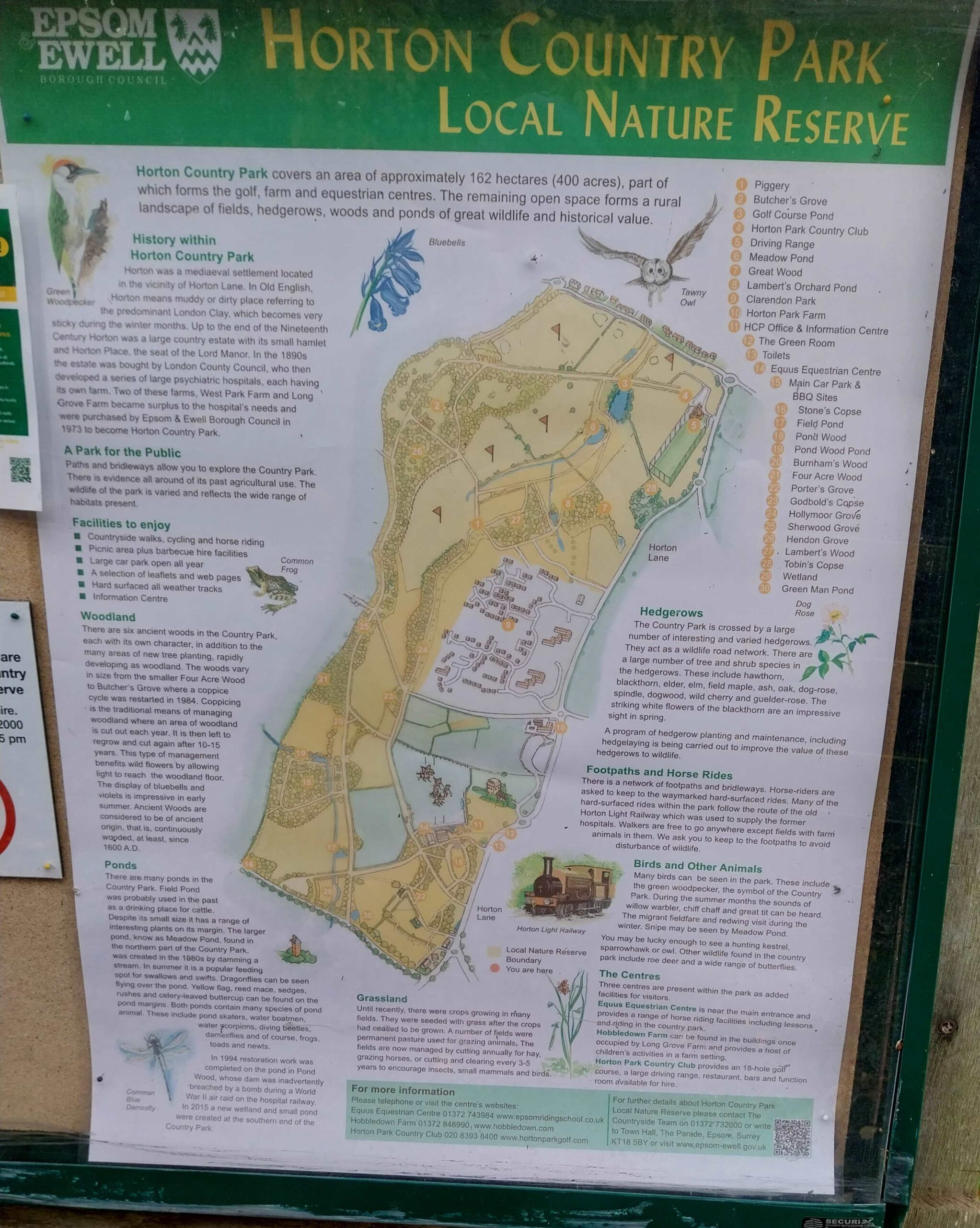 Local History – The Epsom Cluster