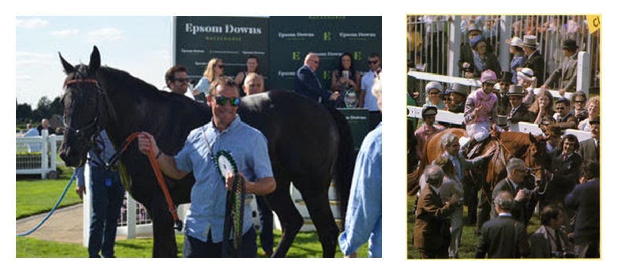 The Epsom Tout – October