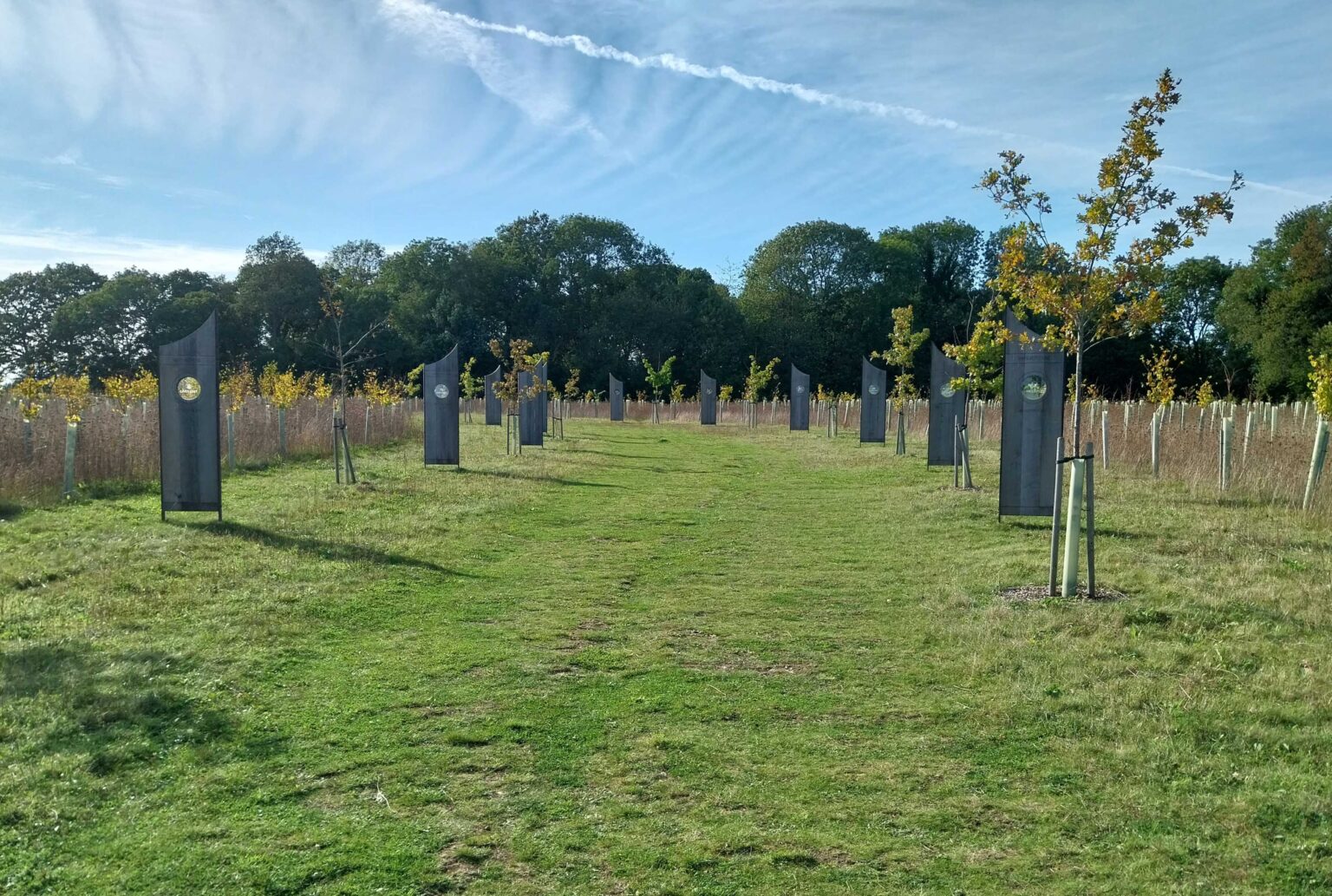 Langley Vale Centenary Wood – Worthy of a visit