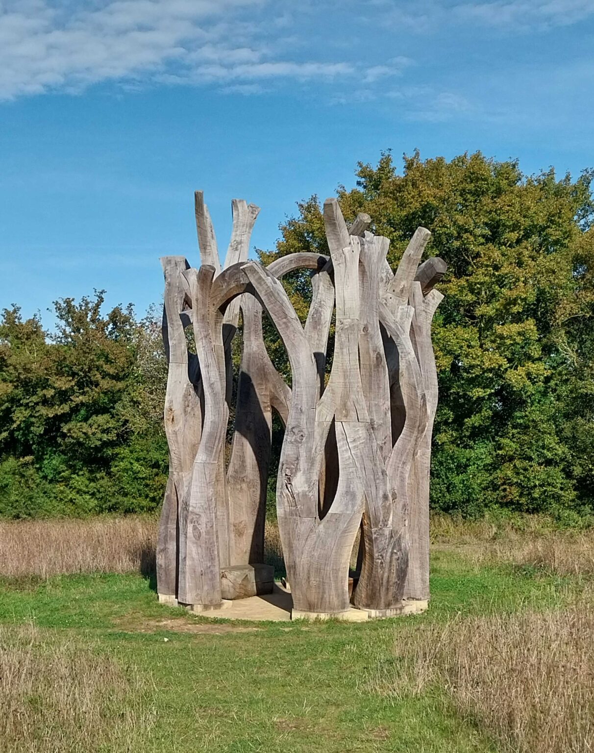 Langley Vale Centenary Wood – Worthy of a visit